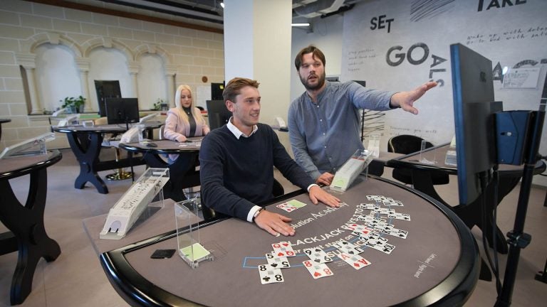 Main Evolution Careers